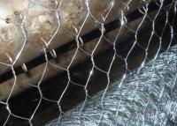 China Hexagonal Galvanized Chicken Wire Mesh BWG 12 3/4