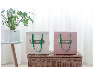 China Luxury CYMK Retail Custom Printed Shopping Bags With Flexiloop Handle for sale