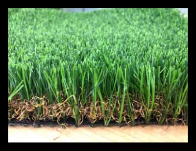 Cina Quattro colori 50mm straight+curly, graden la decorazione, la parete di verde della zona verde, il recinto che decora, 12000dtex, forma di c in vendita