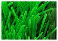 China Stem Diamond Artificial Grass Yarn  Polyester Monofilament Yarn for sale