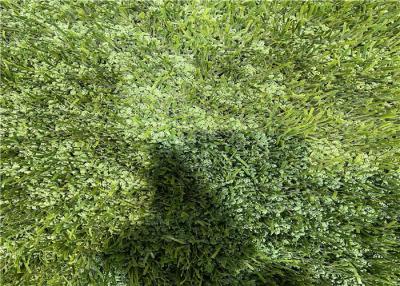 Cina 8000 erba artificiale di calcio della protezione di Sbr di altezza di Dtex 50mm in vendita