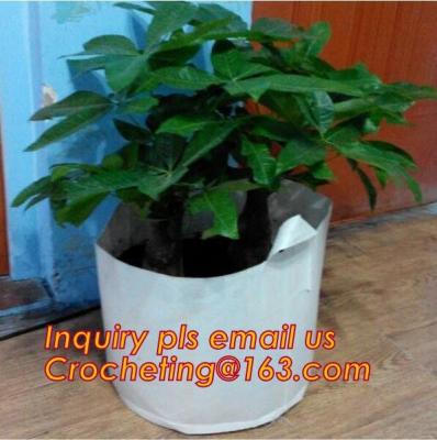 China Garden Hanging Wall Felt Grow Bag,Felt Planting Bag , Wool Felt Grow Bag,Felt Planting Bag, Eco-Friendly Durable Light for sale