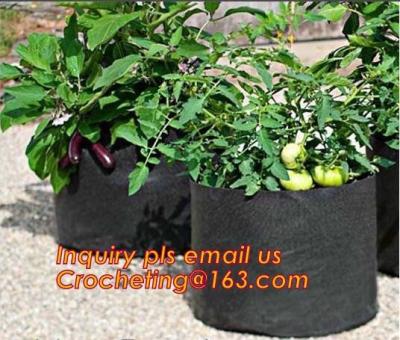 China Garden Hanging Wall Felt Grow Bag,Felt Planting Bag , Wool Felt Grow Bag,Felt Planting Bag, Eco-Friendly Durable Light for sale