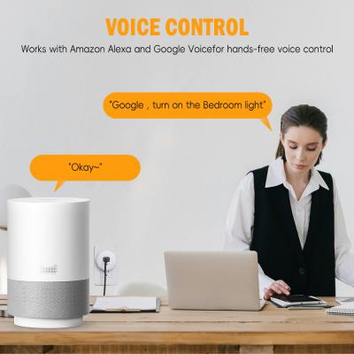 China Custom 5ghz Smart Socket Plug WiFi Supports Alexa And Google Control for sale