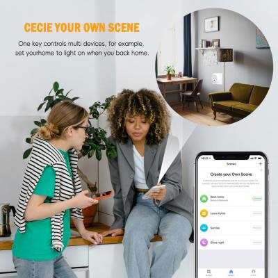 China Custom 5ghz Smart Socket Plug WiFi Supports Alexa And Google Control for sale