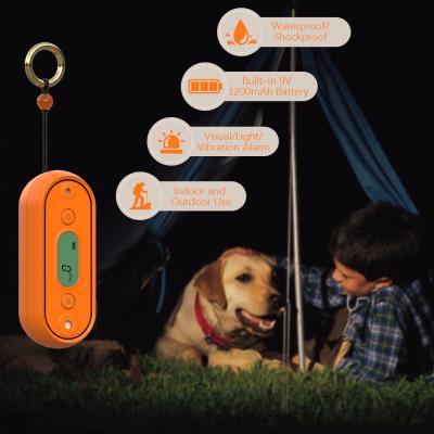 China Compact Portable Carbon Monoxide Alarm Detector With Digital Display 125g for sale