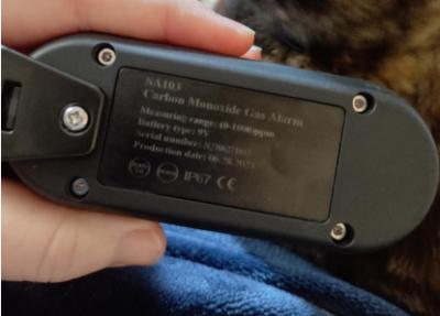 China Waterproof Marine Carbon Monoxide (CO) Detector Alarm | 12V DC, 100dB Audible & LED Alert, UL 2034 Certified | Portable CO Alarm with Electrochemical Sensor & Customizable Threshold for Boat/RV for sale