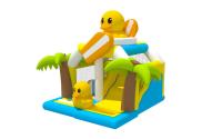 China Animal Theme Inflatable Bounce House for sale