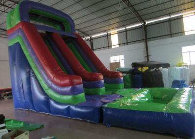 China Dark Green Large Commercial Inflatable Water Slides / Bounce House With Slide for sale