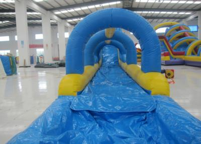 China Giant water slides inflatable slides water park amusement park party for sale