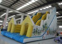 China Big Inflatable Water Slides for sale
