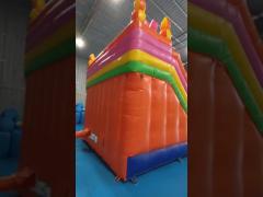 Tarpaulin Inflatable Water Slides Cartoon Themed Kids Water Jumping Castle