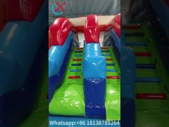Commercial Grade Inflatable Dry Slide Frog Figure Inflatable High Double Slides For Kids And Adults