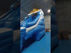 Commerciële buitengroot opblaasbare waterslide octopus cartoon opblaasbare waterslide voor kinderen en volwassenen