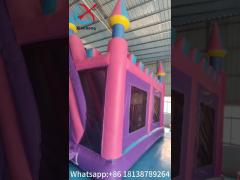 Commercial New Design Inflatable Castle Disney Princess Cartoon Inflatable Bouncy House With Slide Funny Jumping House