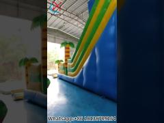 Commericial Inflatable Slide Palm Inflatable Double Dry Slides Outdoor
