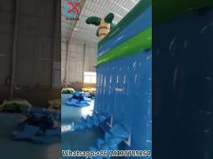 Commericial Inflatable Slide Palm Inflatable Water Dry Slides Outdoor