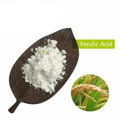 China 100% Natural Ferulic acid 98% Ferulic acid for sale