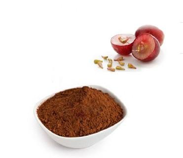 China Pure Procyanidins 100% Organic Grape Seed Extract Powder Supplement for sale