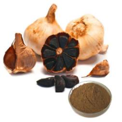 China Factory Price Bulk Natural Fermented Black Garlic Extract 100:1 Black garlic powder for sale