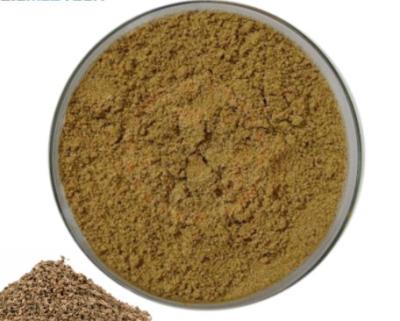China High quality natural organic celery seed extract 10:1 for sale