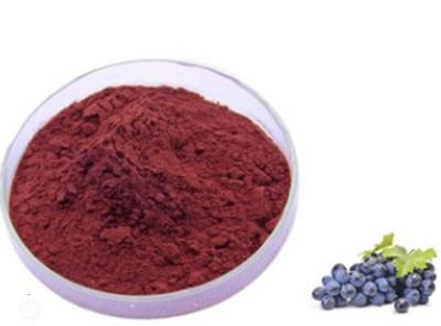 China High Quality Grape Skin Red Color/Grape Skin Extract Powder/Grape Skin Red Pigment for sale