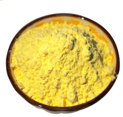 China Factory supply Raw Material 99% Tretinoin powder/Vitamin A acid/Retinoic acid CAS 302-79-4 for sale