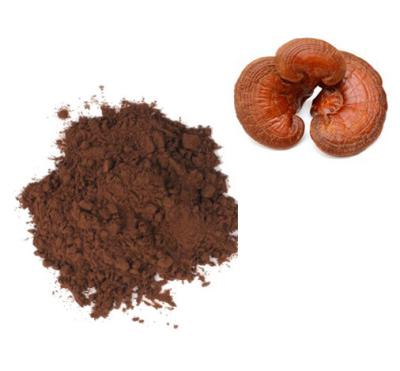 China Polysaccharides 50% UV Fruit Body Reishi Mushroom Extract for sale