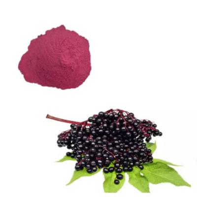 China 100% natural black elderberry P.E organic black elderberry extract powder for sale