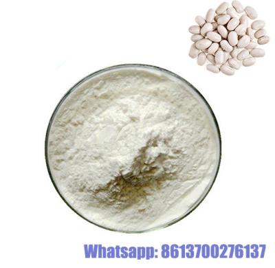 China Fat burning white kidney bean extract , 1% 2% Phaseolin by HPLC for sale