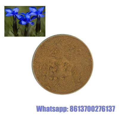 China Wholesale Price Natural Organic Chinese Gentian Root Extract Gentiopicrin 50% for sale