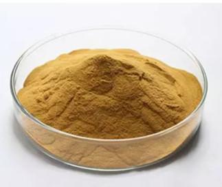 China Andrographolide Powder 98% Andrographis Paniculata Extract for sale