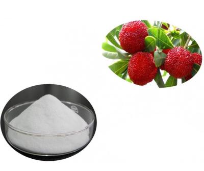 China High quality myrica rubra extract powder/bayberry powder myricetin for sale