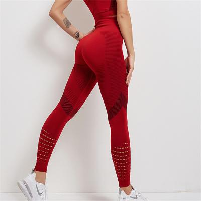 China Rose Red Gray Black Rose Green Seamless Fashion Antibacterial Wholesale Breathable High Waisted Gym Sports Women Yoga Leggings Knitted for sale
