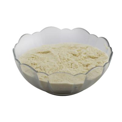 Cina Sugar Free Pork Gelatin Powder naturale ha idrolizzato la polvere 60mesh della gelatina in vendita