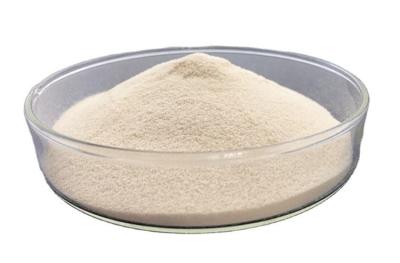 Cina Sugar Free Pork Gelatin Powder naturale ha idrolizzato la polvere 60mesh della gelatina in vendita