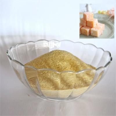 China Room Temperature Stable Gelatin Powder 1 Lb Net Weight Te koop