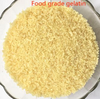 Cina Mild-Tasting Room Temperature Storable Gelatin White Color in vendita