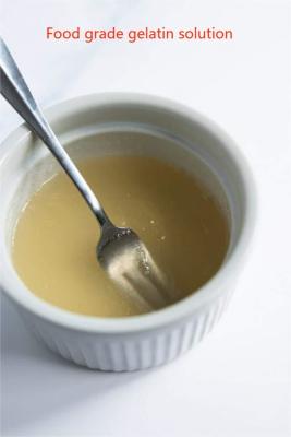 Cina ISO22000 Certified Pure Gelatin Powder HACCP KOSHER HALAL Compliant in vendita