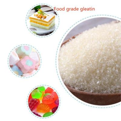 Cina ISO22000 Certified Pure Gelatin Powder HACCP KOSHER HALAL Compliant in vendita