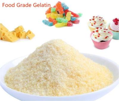 Cina Halal Certified Beef Gelatine With 2 Years Shelf Life in vendita