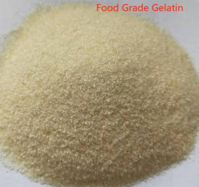 Cina Gelatina immagazzinata fresca dell'osso spolverizzare struttura cremosa regolare in vendita