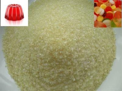 Cina Polvere bianca della gelatina del manzo di 200 fioriture con il basso tenore di umidità in vendita