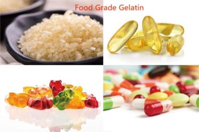 Cina Proteina di grande viscosità non Gmo della polvere della gelatina tutto il glutine naturale libero in vendita