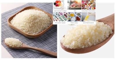 Cina Unflavored Gelatin Edible Powder Haccp Certified in vendita