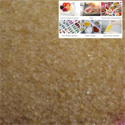 Cina 25kg Per Bag Pure Gelatin Powder No Allergens in vendita