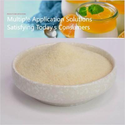 Cina White Pure Gelatin Powder Iso Non GMO Certificate in vendita