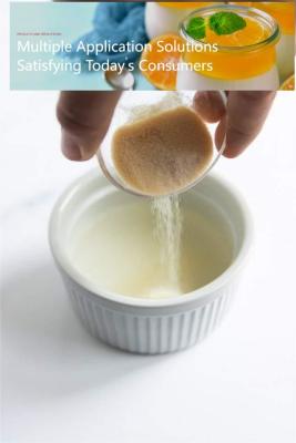 中国 2500 Tons Unflavored Pure Powder Gelatine Haccp Certified Organic Food Production 販売のため