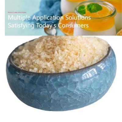 Cina 2500 Tons Unflavored Pure Powder Gelatine Haccp Certified Organic Food Production in vendita