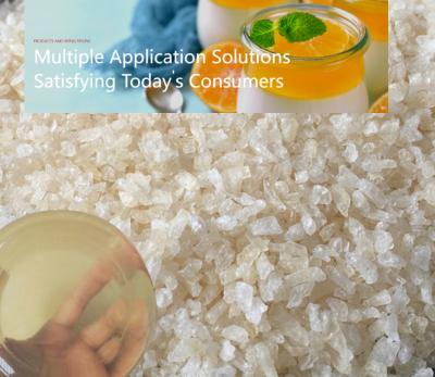Cina Organic Jellies Pure Gelatin Powder With 5mg Sodium No Allergens Healthy Nutrition Facts in vendita